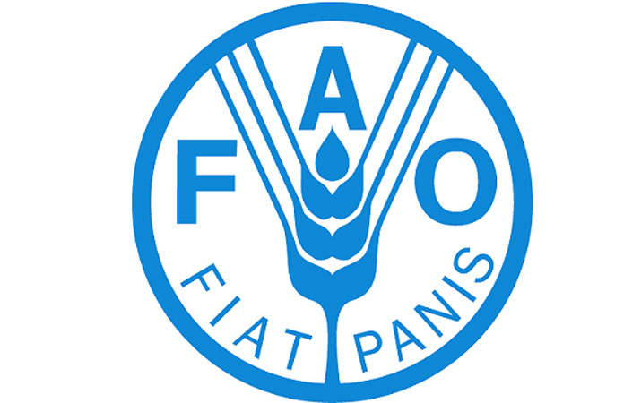FAO launches 2020 as the UN’s International Year of Plant Health ... FAO launches 2020 as the UN’s International Year of Plant Health ...